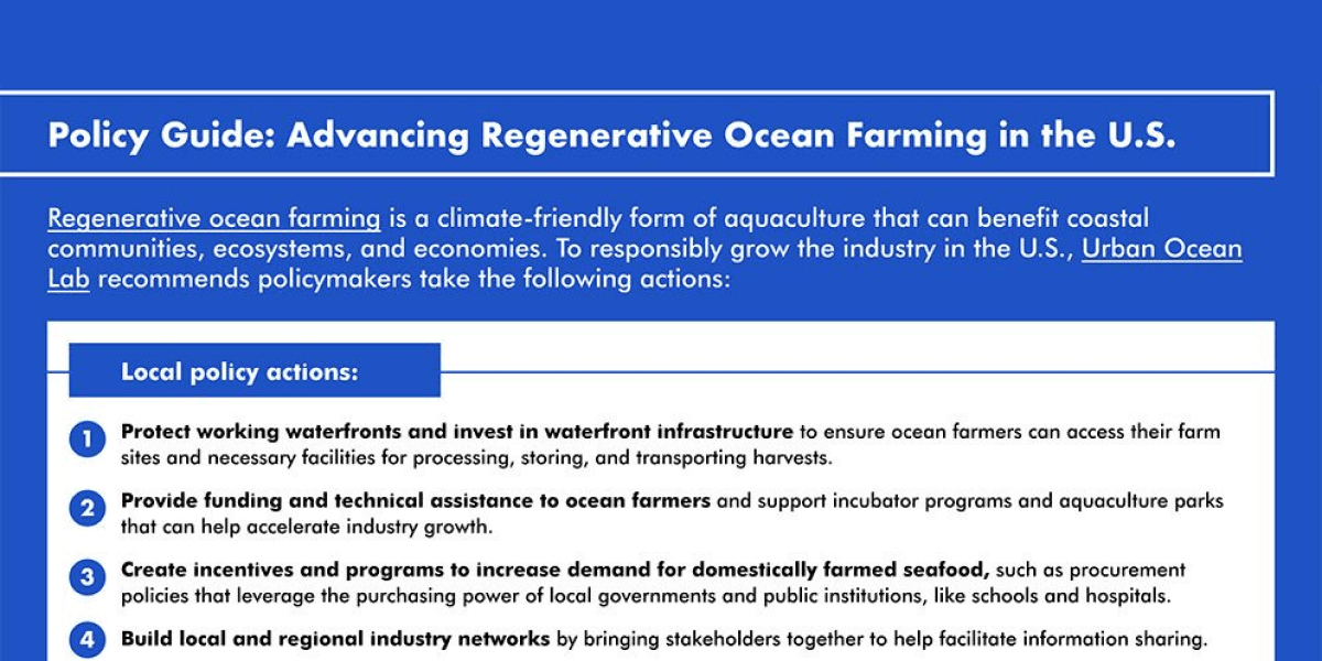 regenerative_ocean_farming_guide_2_1_Social_Media_Image_e24587470b.png